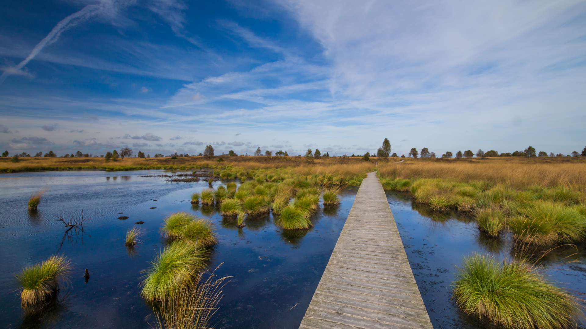 Le Parc naturel Hautes Fagnes-Eifel - Parc naturel Hautes Fagnes-Eifel